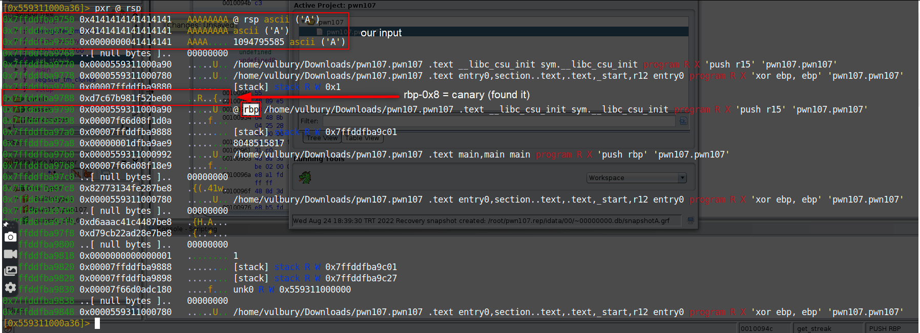 Pwn101 - TryHackMe CTF Write-up - vvelitkn